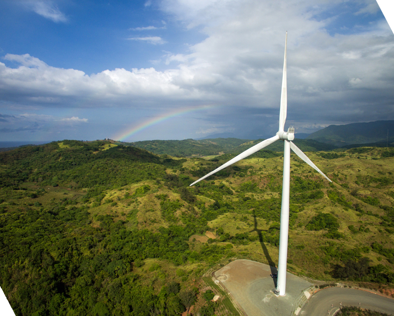 Pagudpud Wind Farm Grows 205K Trees In 3 Years - ACEN