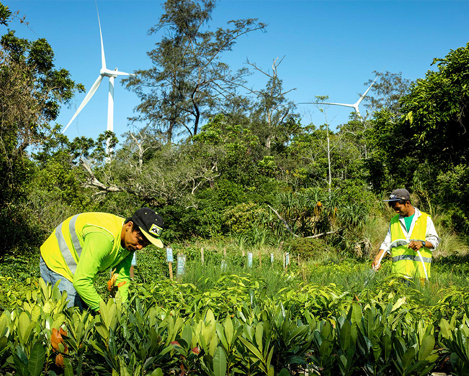 Winds of Change | AC Energy Sustainability Video - ACEN