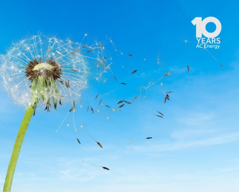 A decade of driving the energy transition in the region - ACEN