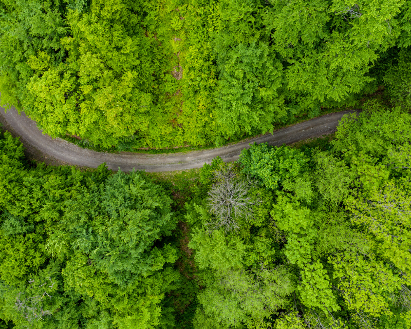 ACEN announces roadmap to reach Net Zero emissions by 2050 - ACEN