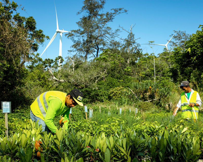 ACEN ramps up its sustainability roadmap with strengthened community ...