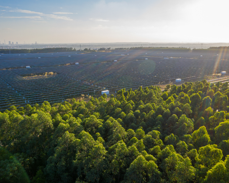 ACEN secures US$150M five-year syndicated green term loan from ...